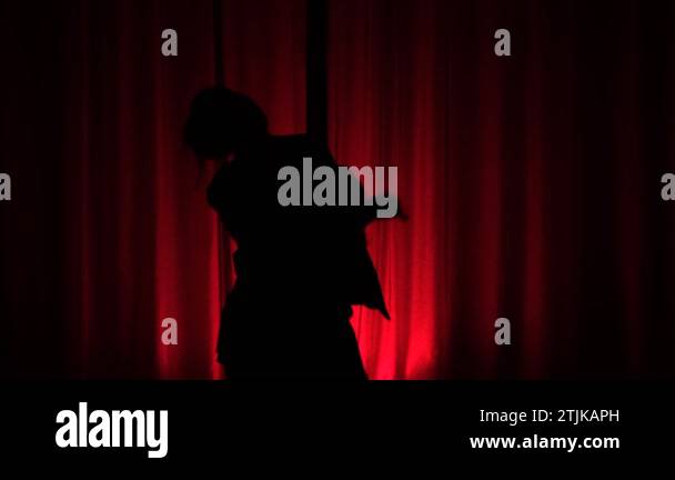 Silhouette of Attractive Body Shape with Fluttering long Hair with red ...