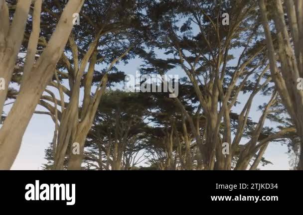 Point reyes peninsula Stock Videos & Footage - HD and 4K Video Clips ...