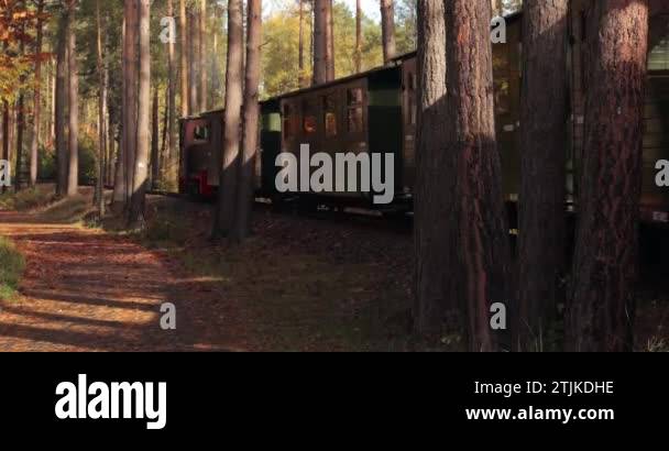 Narrow gauge forest train Stock Videos & Footage - HD and 4K Video ...