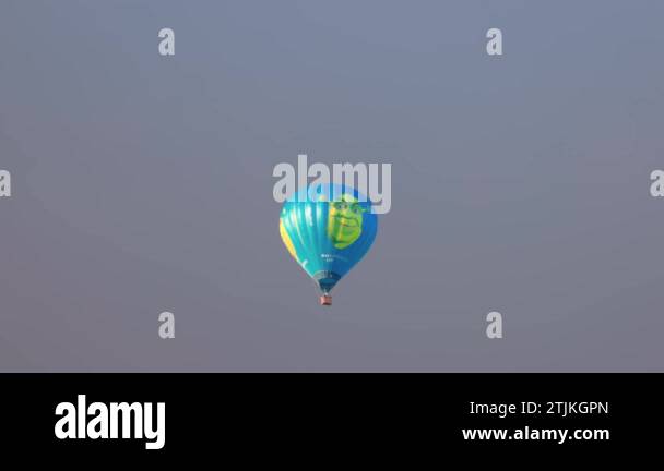 Shrek far far away Stock Videos & Footage - HD and 4K Video Clips - Alamy