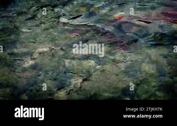 Blood colors Stock Videos & Footage - HD and 4K Video Clips - Alamy
