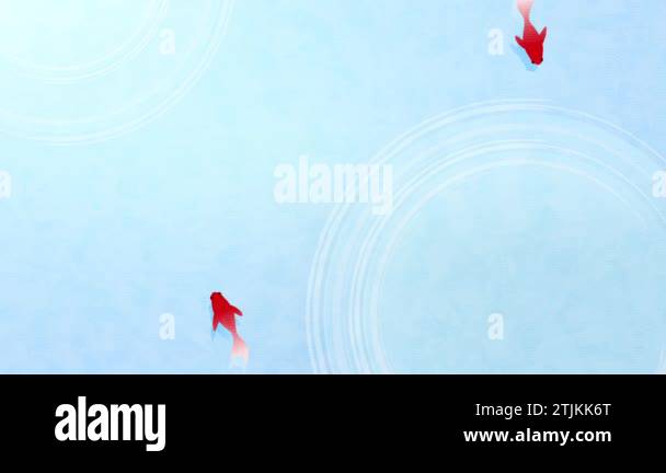 Water ripples and swimming goldfish mid-year and summer image, 4K loop ...