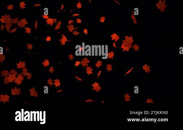 Embrace the Serenity of Animated Floating Maple Leaves. Add a romantic ...