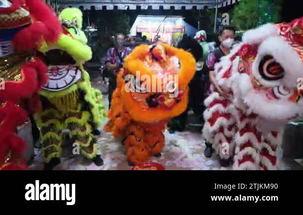 Lion calendar Stock Videos & Footage - HD and 4K Video Clips - Alamy