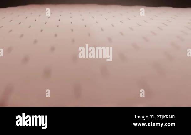 Geometrical skin cells and moisturizing cosmetic serum molecule - 3D 4k ...