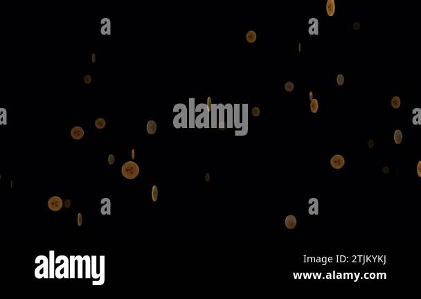 Impress Your Audience with a Dazzling Ripple 3D Coin Animation for Your ...