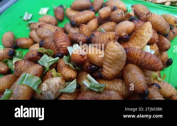 Larva palm worm weevil deep fried fat insect snack sell exotic food in ...