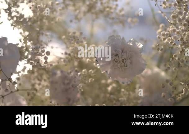 Blue edging Stock Videos & Footage - HD and 4K Video Clips - Alamy