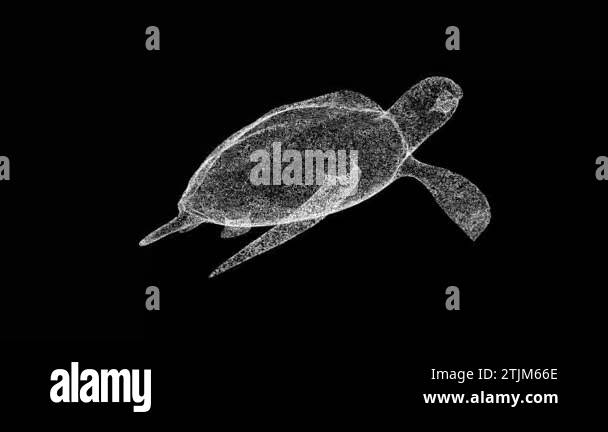 3D Turtle rotates on black bg. Underwater world. Turtles world water ...