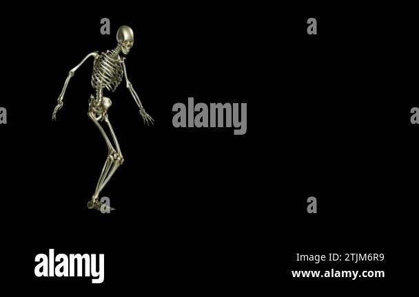 Skeleton dancing. Seamless loop animation on black background, house ...