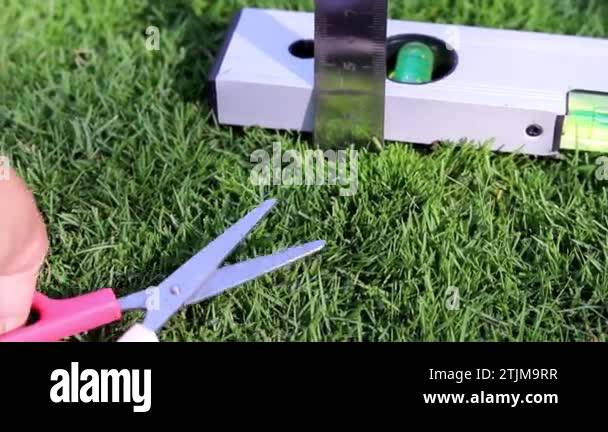 Measuring grass ruler Stock Videos & Footage - HD and 4K Video Clips ...