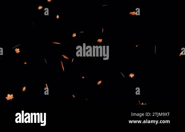 Falling Autumn Leaves seamless loop Animation Video on Alpha background ...