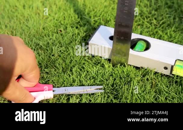 Man cutting grass with small nail scissors and using the level tool to ...