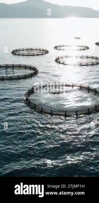 Offshore aquaculture fish farming cages for grow salmon in calm deep ...