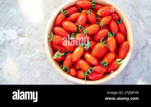 Tomato Solarino Is a variety from Holland. The fruit is small, similar ...