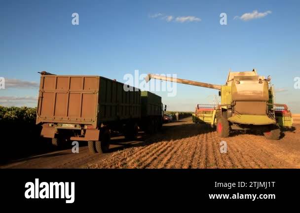 Crop logistics Stock Videos & Footage - HD and 4K Video Clips - Alamy