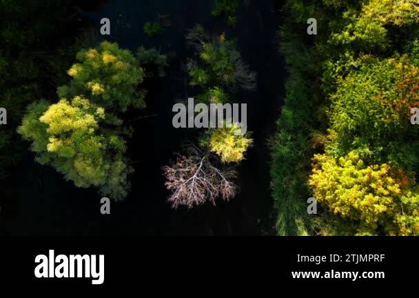 View of watercourse Stock Videos & Footage - HD and 4K Video Clips - Alamy