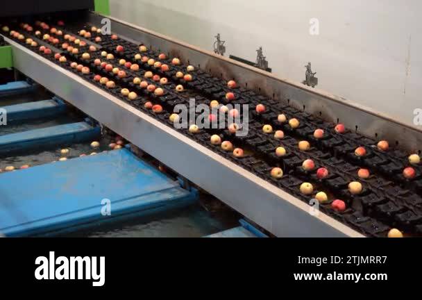 Apple sorting machine Stock Videos & Footage - HD and 4K Video Clips - Alamy