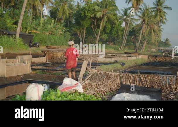 Traditional Salt Making Process on the beach sea shore Bali, Indonesia ...