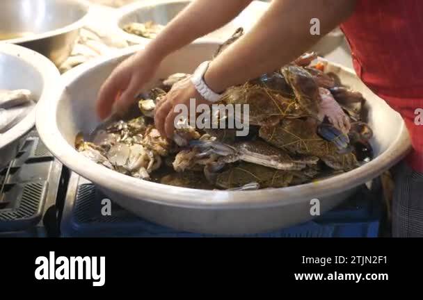 Cram Stock Videos & Footage - HD and 4K Video Clips - Alamy