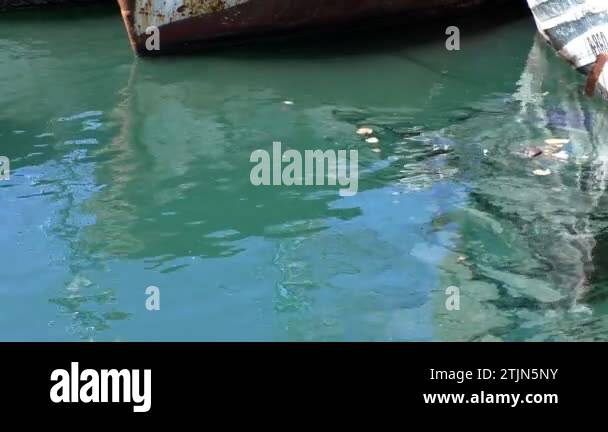 Dock damage Stock Videos & Footage - HD and 4K Video Clips - Alamy