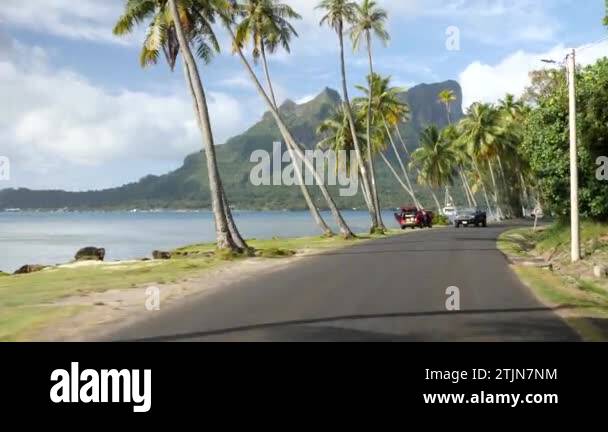 Turquoise blue lagoon with palm trees in Bora Bora, Tahiti, French ...