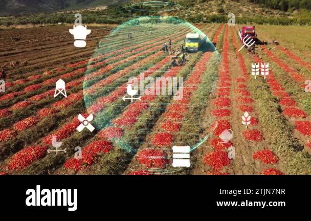 agriculture smart farming technology - industry 4.0.Concept of ...