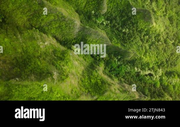 Magical green mountain ridge. Epic green high sharp peaks with text ...