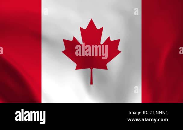 Canada National Flag. 4K seamless loop animation of the Canada flag ...