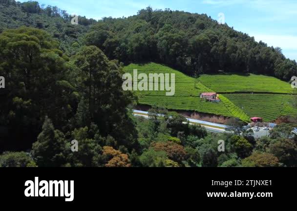 Ooty valley Stock Videos & Footage - HD and 4K Video Clips - Alamy