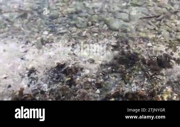 Receding sea Stock Videos & Footage - HD and 4K Video Clips - Alamy