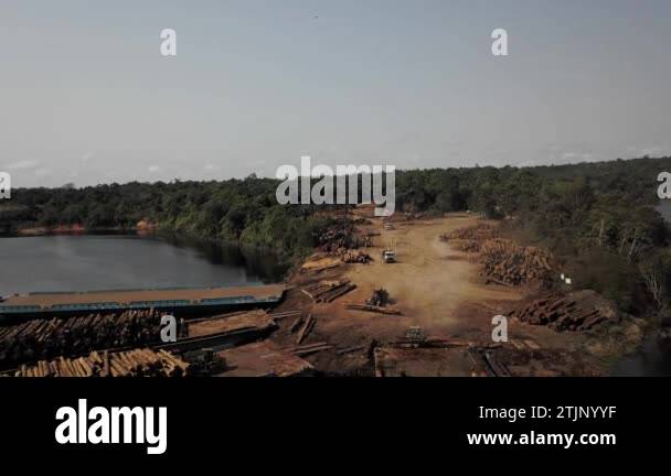 Harvesting trees in the Amazon rainforest, pull back aerial view ...