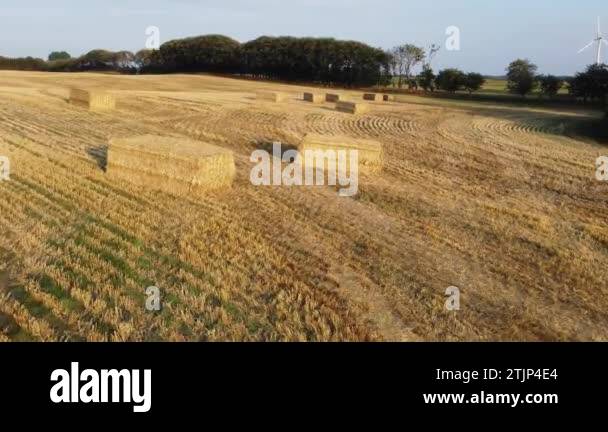 Hay bale on field, drone view. Field with hay and haystack. Hay stack ...
