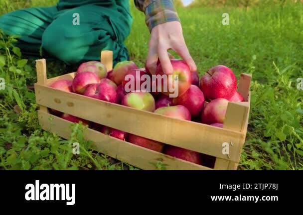 Ground arms Stock Videos & Footage - HD and 4K Video Clips - Alamy