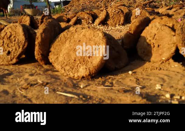 Manure cake Stock Videos & Footage - HD and 4K Video Clips - Alamy