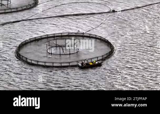 Sea Farm Aquaculture Nets in the Ocean Used for Fish Farming Stock ...
