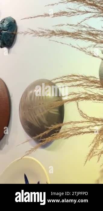 Salt plates Stock Videos & Footage - HD and 4K Video Clips - Alamy