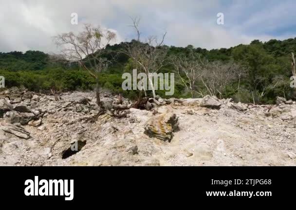 Volcanic landscape with withered trees after a volcanic eruption in the ...