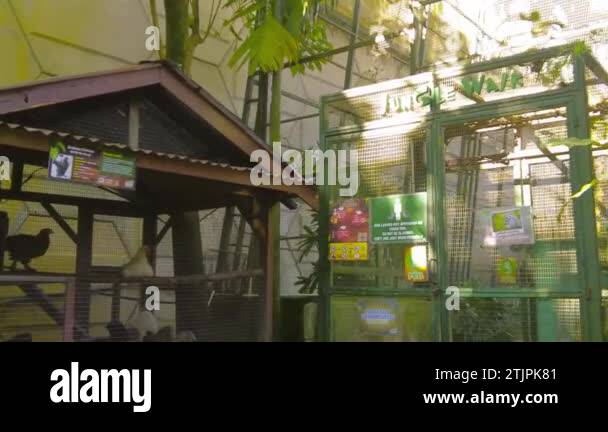 Entrance cage Stock Videos & Footage - HD and 4K Video Clips - Alamy