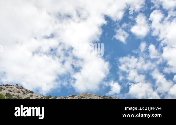 Tilt movement of the camera reveals a mountain top with pine trees ...