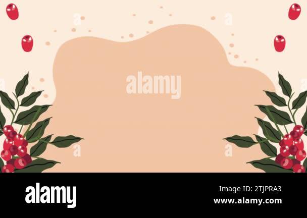 coffee plant with seeds frame ,4k video animated Stock Video Footage ...