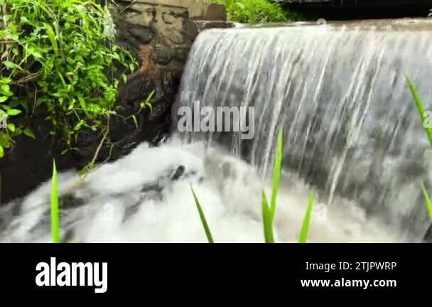 Fresh cold water flowing through canal to Rice Farms. Soil moistening ...
