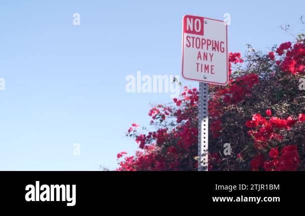 Crimson sign Stock Videos & Footage - HD and 4K Video Clips - Alamy