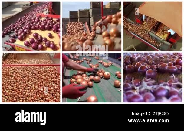 Bulk processing warehouse Stock Videos & Footage - HD and 4K Video ...