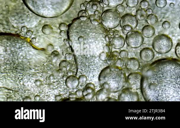 Gold cells Stock Videos & Footage - HD and 4K Video Clips - Alamy