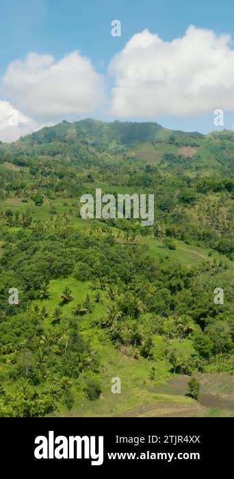 Tropical mountains with green forests and agricultural land with farm ...