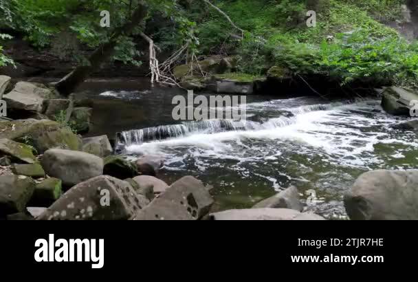 Cleveland national forest in Stock Videos & Footage - HD and 4K Video ...
