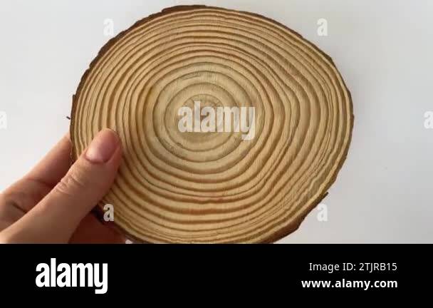 Larch wood texture table Stock Videos & Footage - HD and 4K Video Clips ...