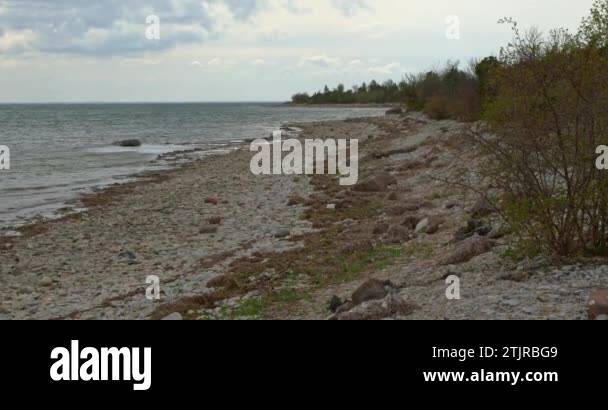 Unspoiled Beauty of Kassari Beach. A Gem in Estonia's Kassari Landscape ...