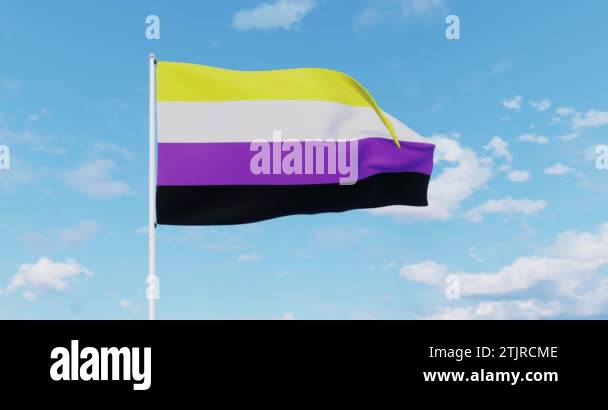 Non binary pride flag Stock Videos & Footage - HD and 4K Video Clips ...